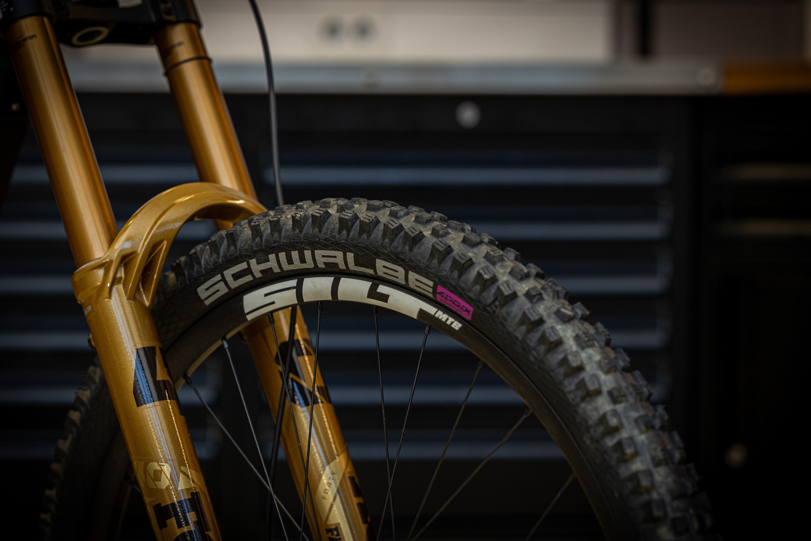 Team bike: 2024 Trek Session – Unior Sinter Factory Racing