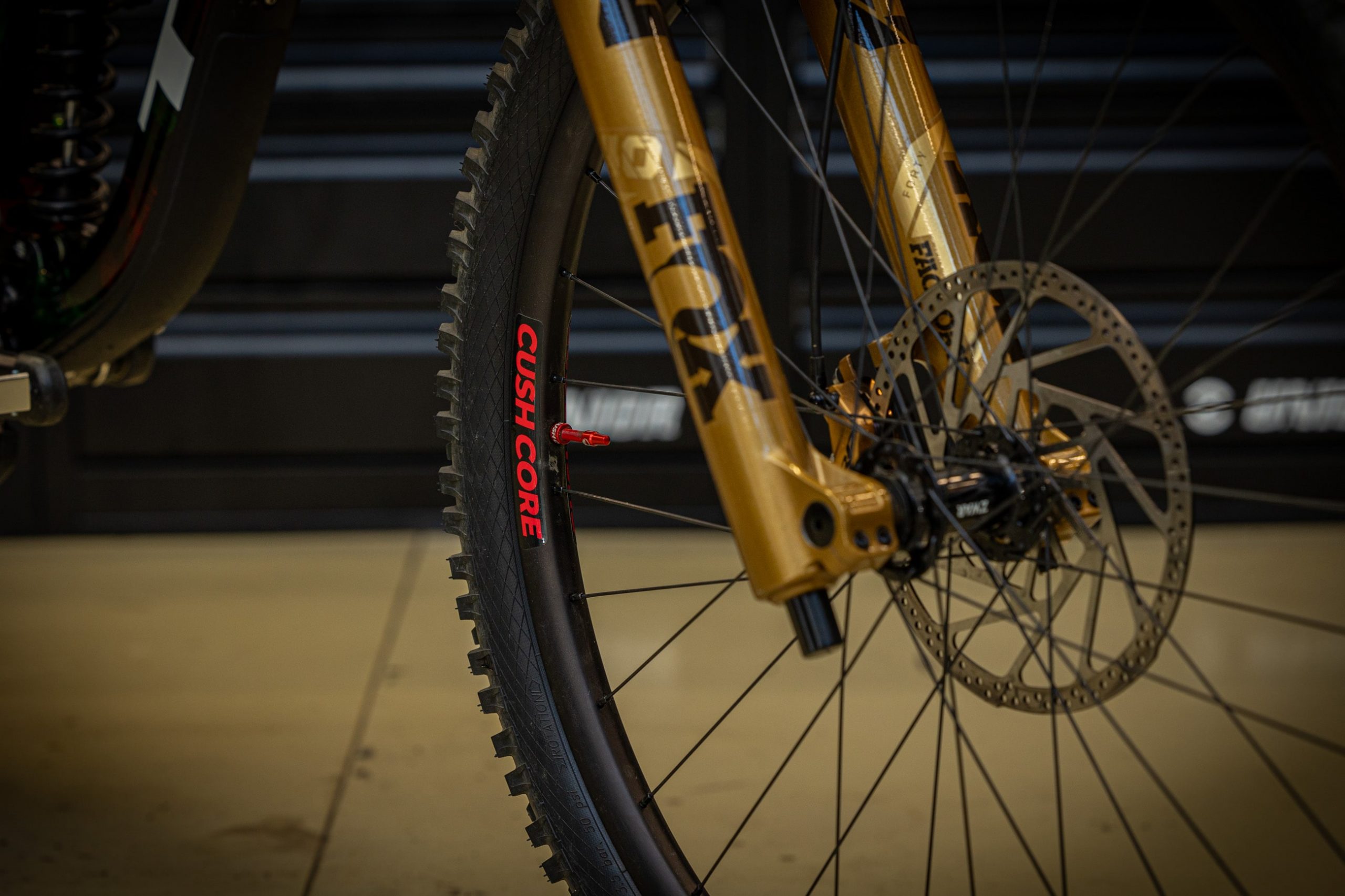 Team bike: 2024 Trek Session – Unior Sinter Factory Racing