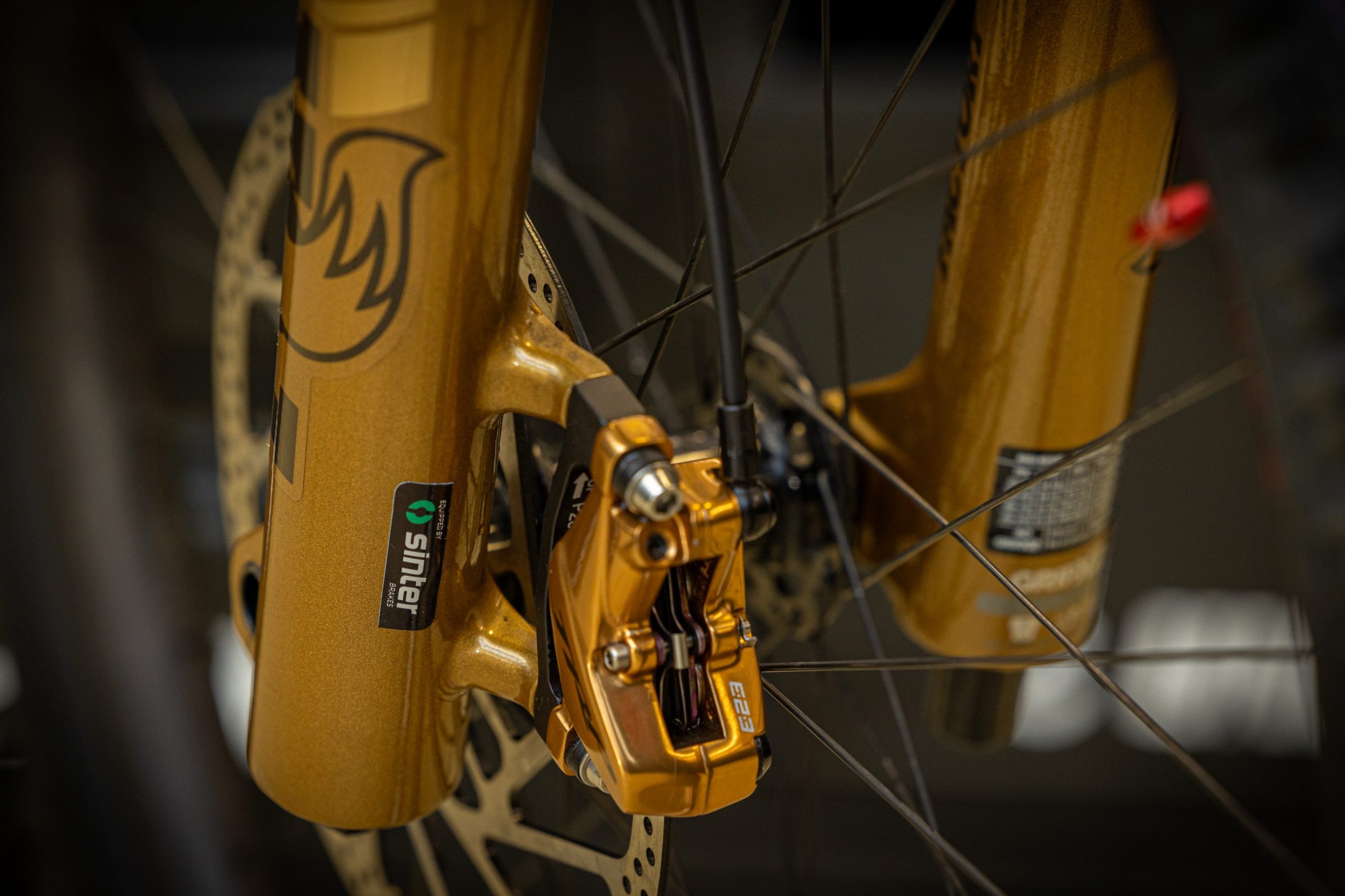 Team bike: 2024 Trek Session – Unior Sinter Factory Racing